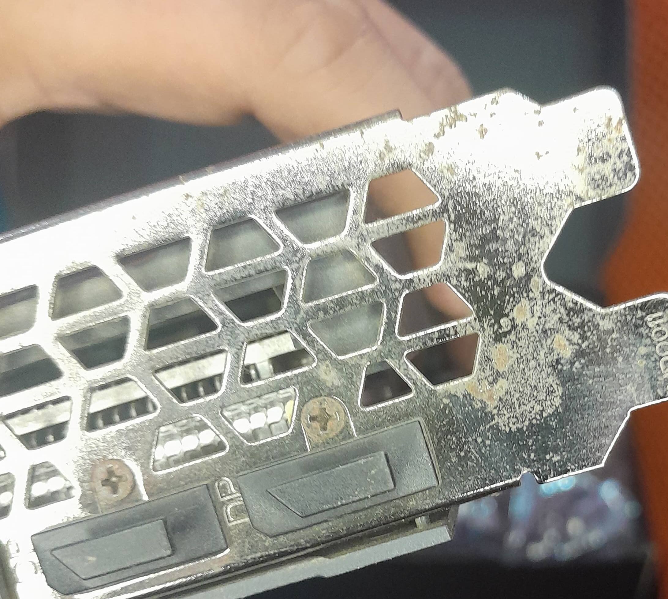 Should I buy this used gpu if it has rust on backplate? - Graphics Cards - Linus Tech Tips